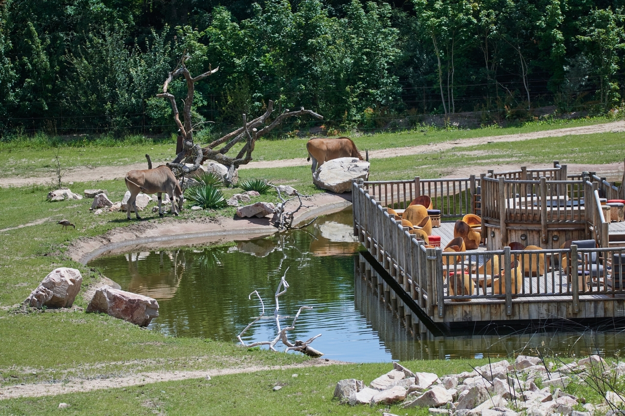 Le PAL Savana RESERVE - Lyon Tourist Office